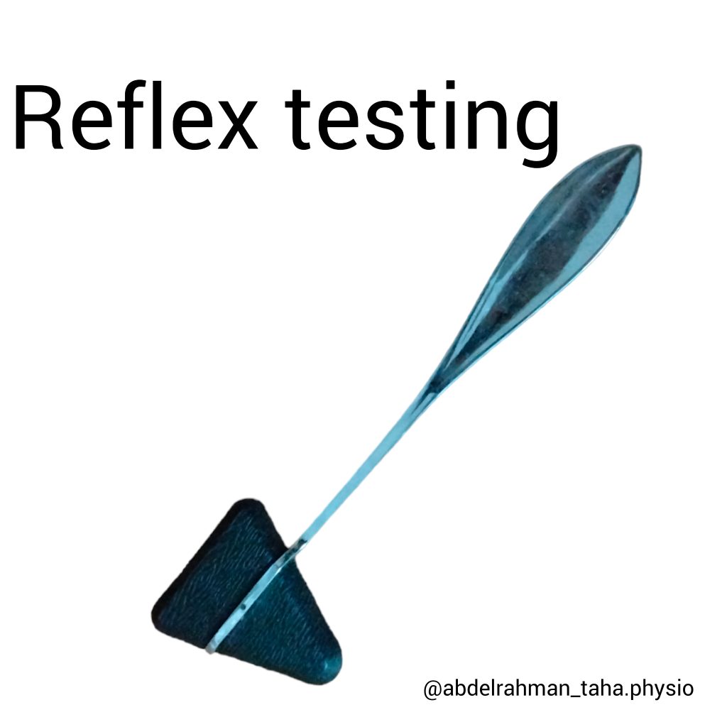 Neurological bedside examination: accuracy in lumbo-sacral ...