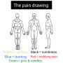 The pain drawing and Measurement of pain intensity - Orthopaedic ...